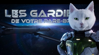 Anniversaire du chat Feu Vert : déjà 20 ans